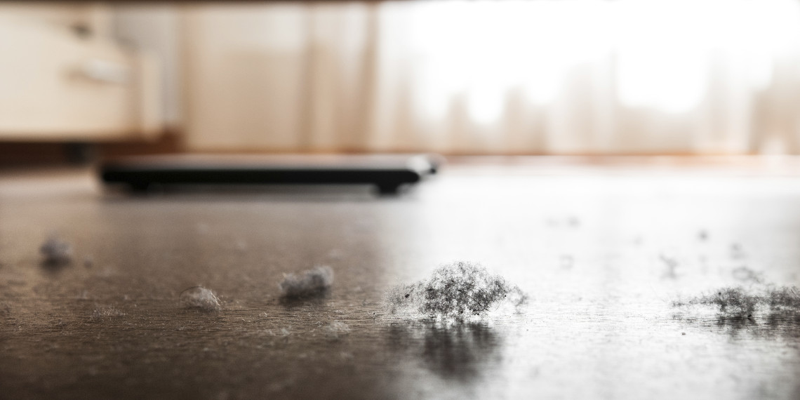 Was ist Staub / Hausstaub? So entfernst und vermeidest du Staub ...