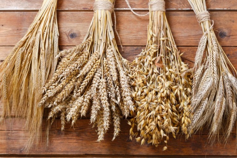 Köstliche Brot-Rezepte für den Thermomix® | Vorwerk Thermomix